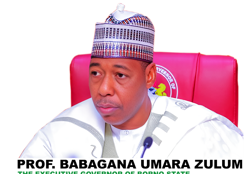Flood: Zulum inaugurates Relief Disbursement Committee - Daily Hint News