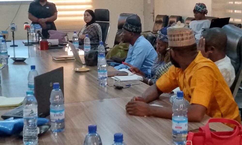 Adamawa: Invest on first 1,000 days to safeguard the child’s future ...